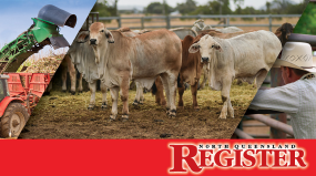 Agricultural & rural farm news | North Queensland Register | QLD